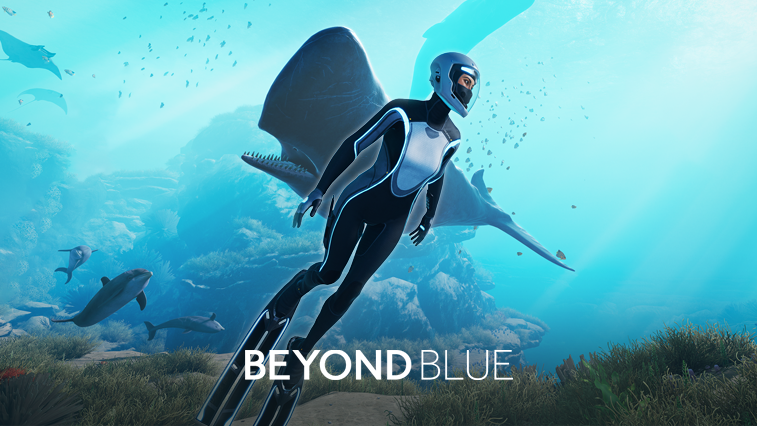 Beyond Blue | STOVE Store