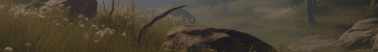 PROJECT HUNT | STOVE Store