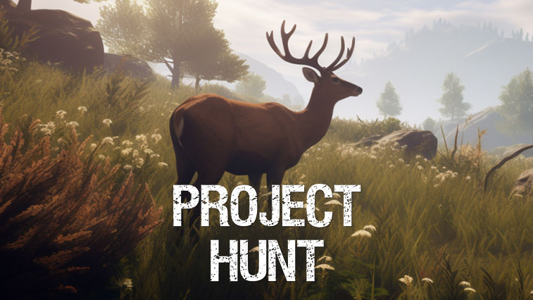 PROJECT HUNT | STOVE Store